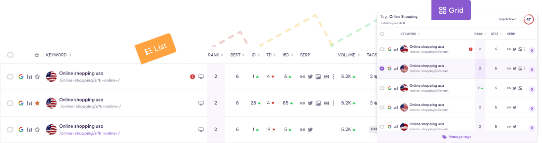 Plans & Pricing - Serpple